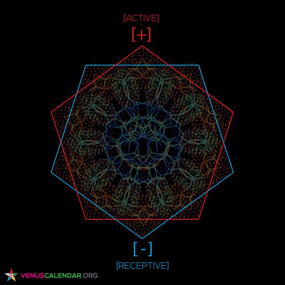 VENUS FRACTAL RESONANCE THROUGH TIME, SPACE AND LIFE | Venus Calendar